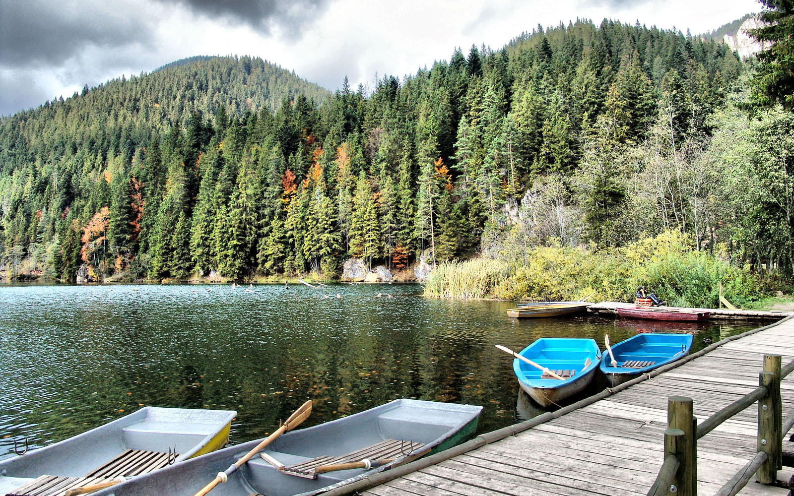 Lacul Rosu, Cheile Bicazului si Lacul Izvorul Muntelui - Cedra Tour